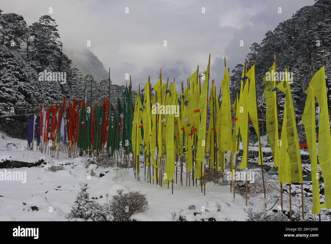 Yumthang sikkim hi-res stock photography and images - Alamy