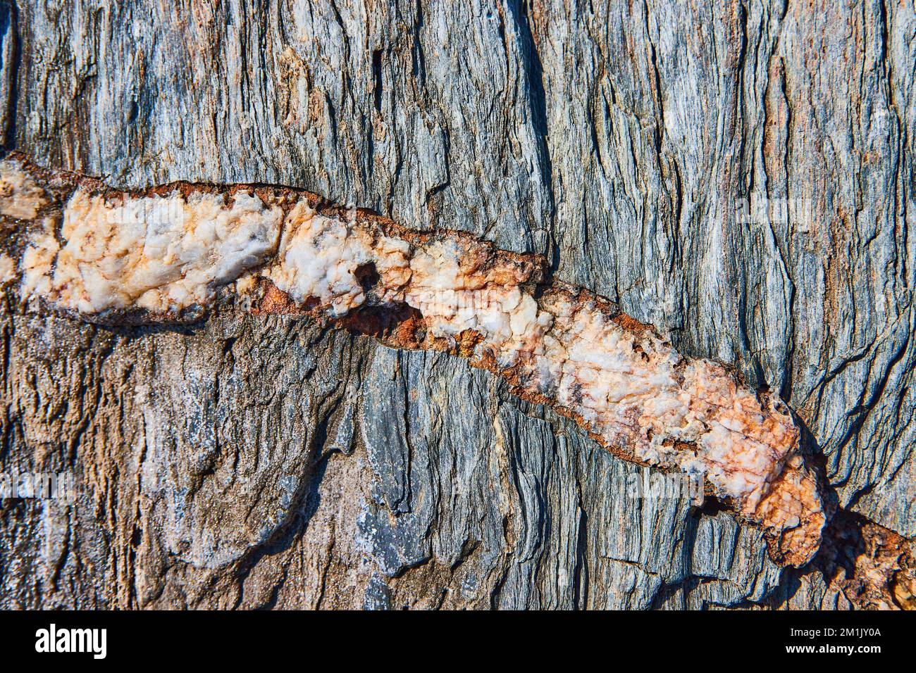 Detail of mineral quartz vein running through section of rock Stock ...