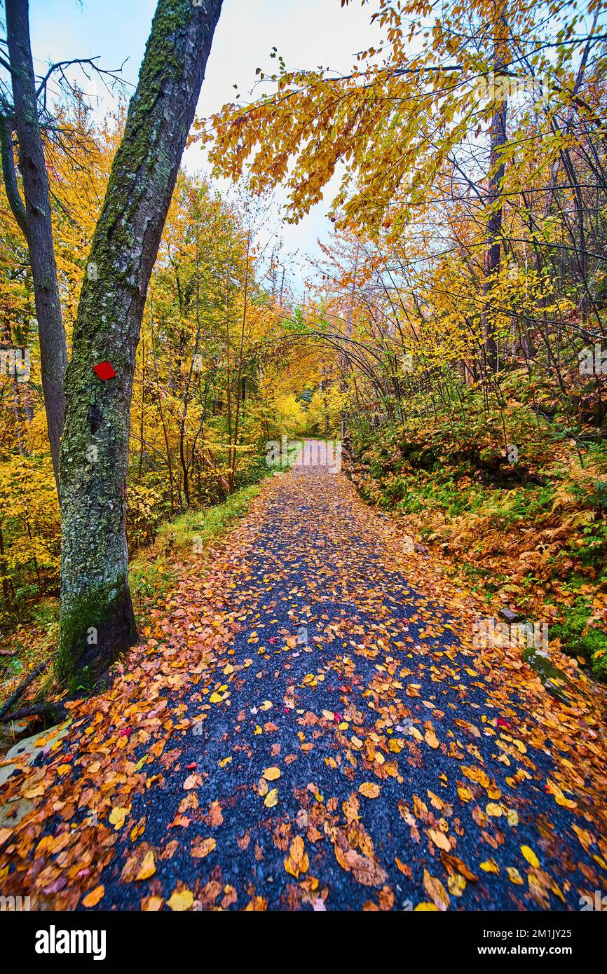 View walking down hiking path covered in fall leaves with trail marker ...