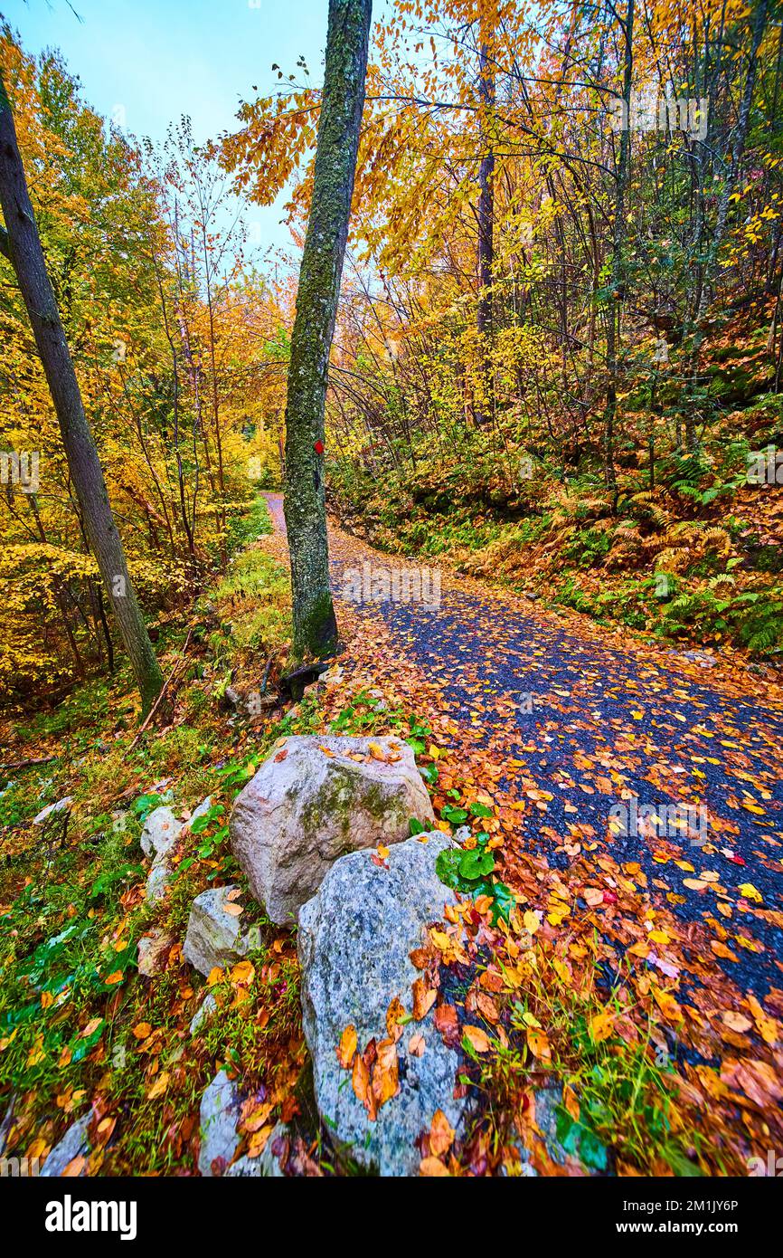 Hiking path on trail covered in fall leaves going through forest Stock ...