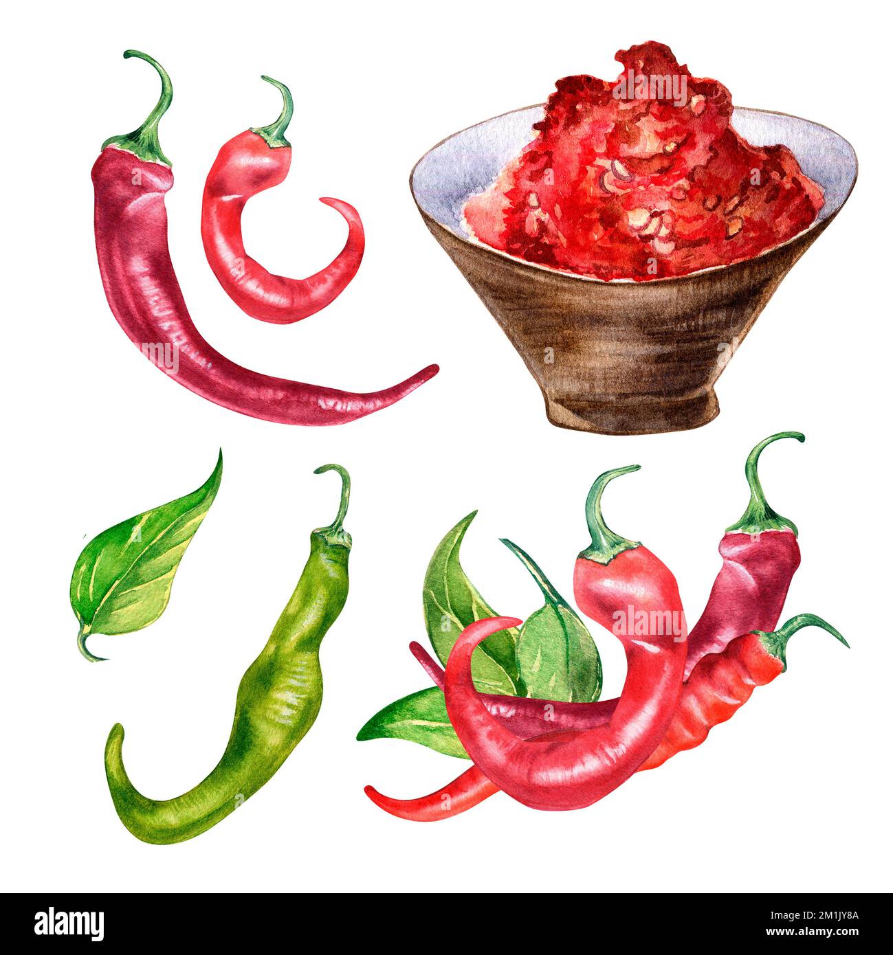 Red chili hot peppers and green leaves watercolor illustration isolated ...