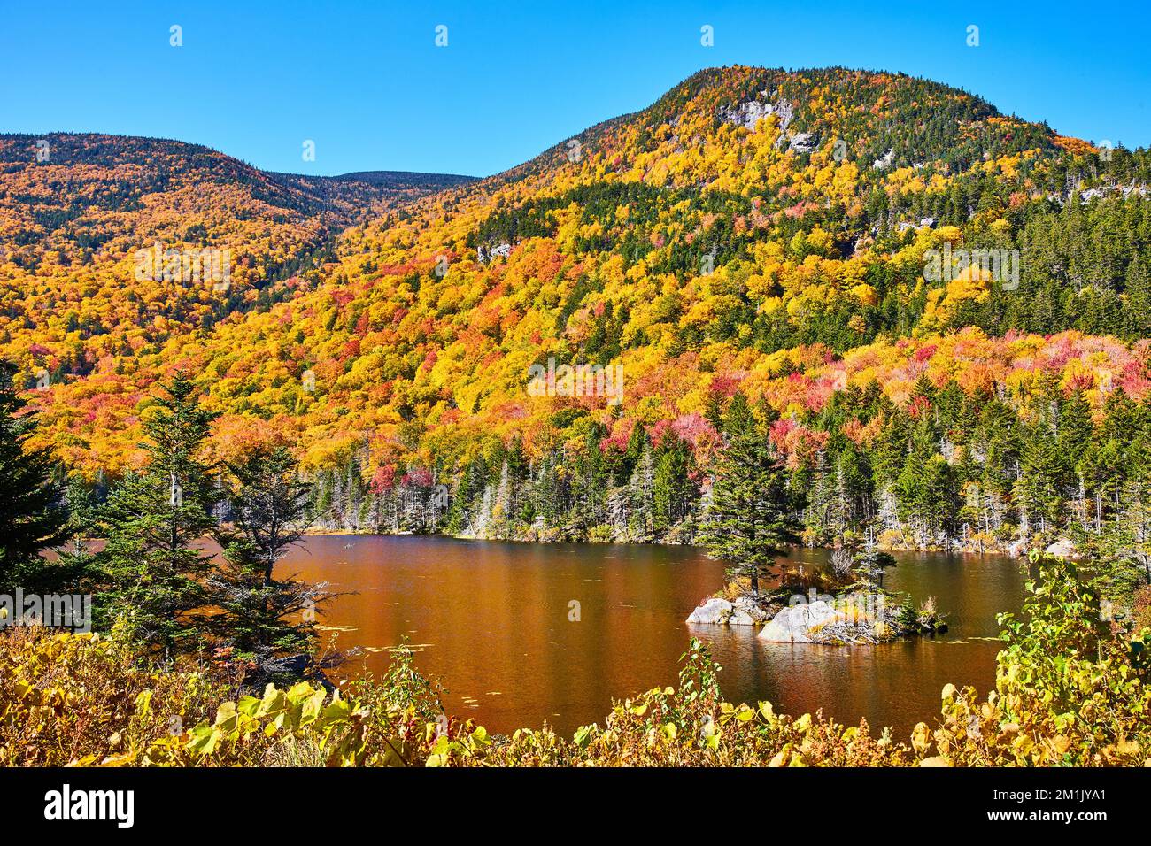 Lake in New Hampshire during peak fall with lone rocky island and pine ...