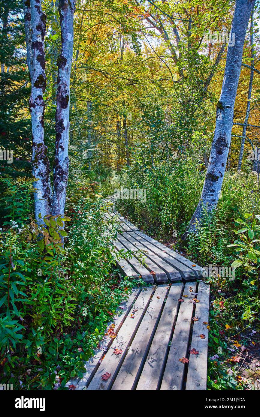 The park at stowe hi-res stock photography and images - Alamy