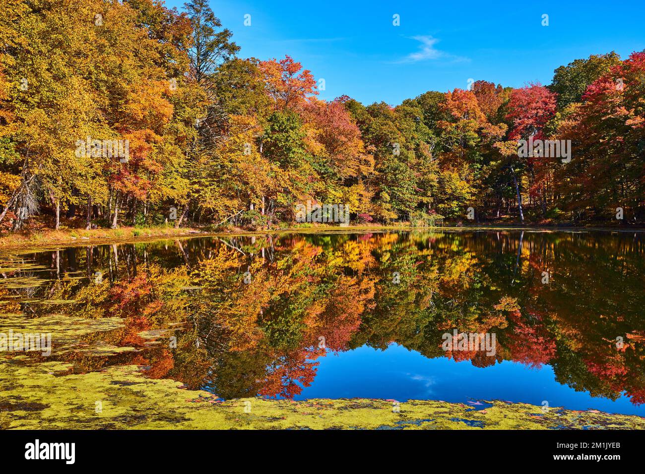 Pond reflecting fall colors hi-res stock photography and images - Alamy