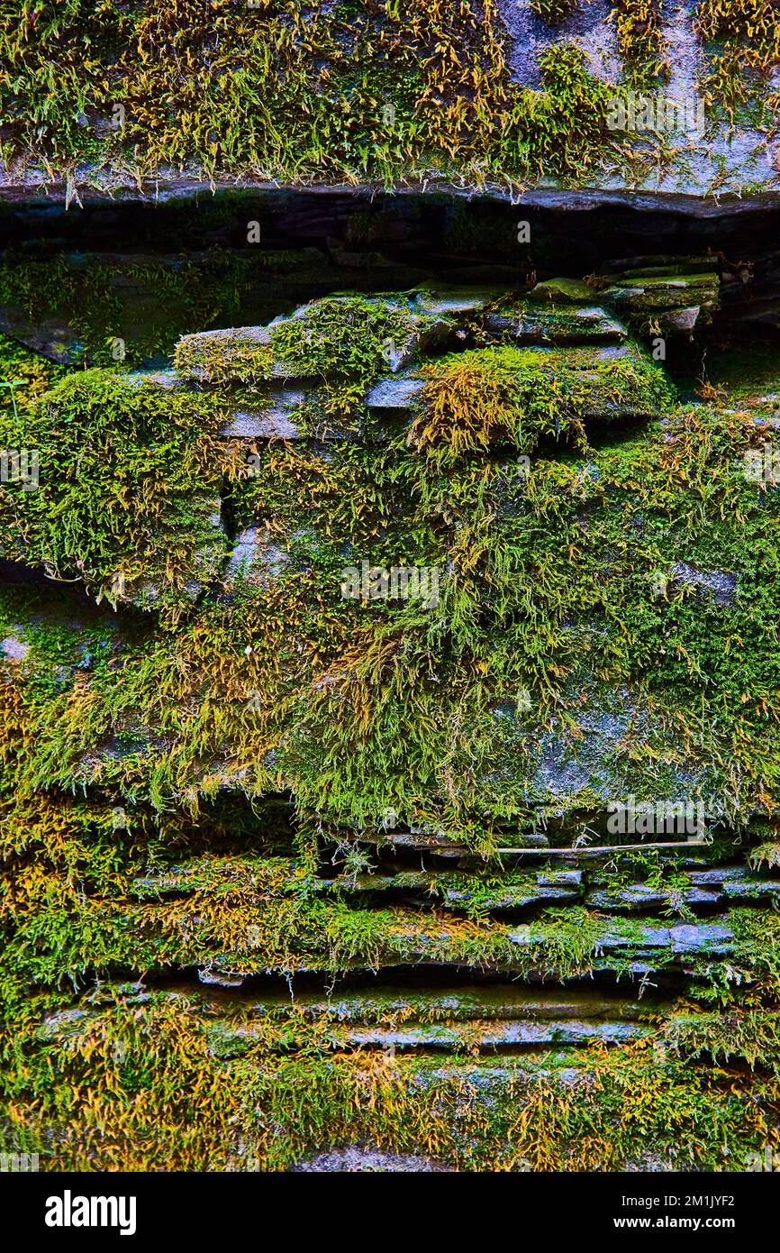 Orange and green moss cover stone wall straight on texture detail Stock ...