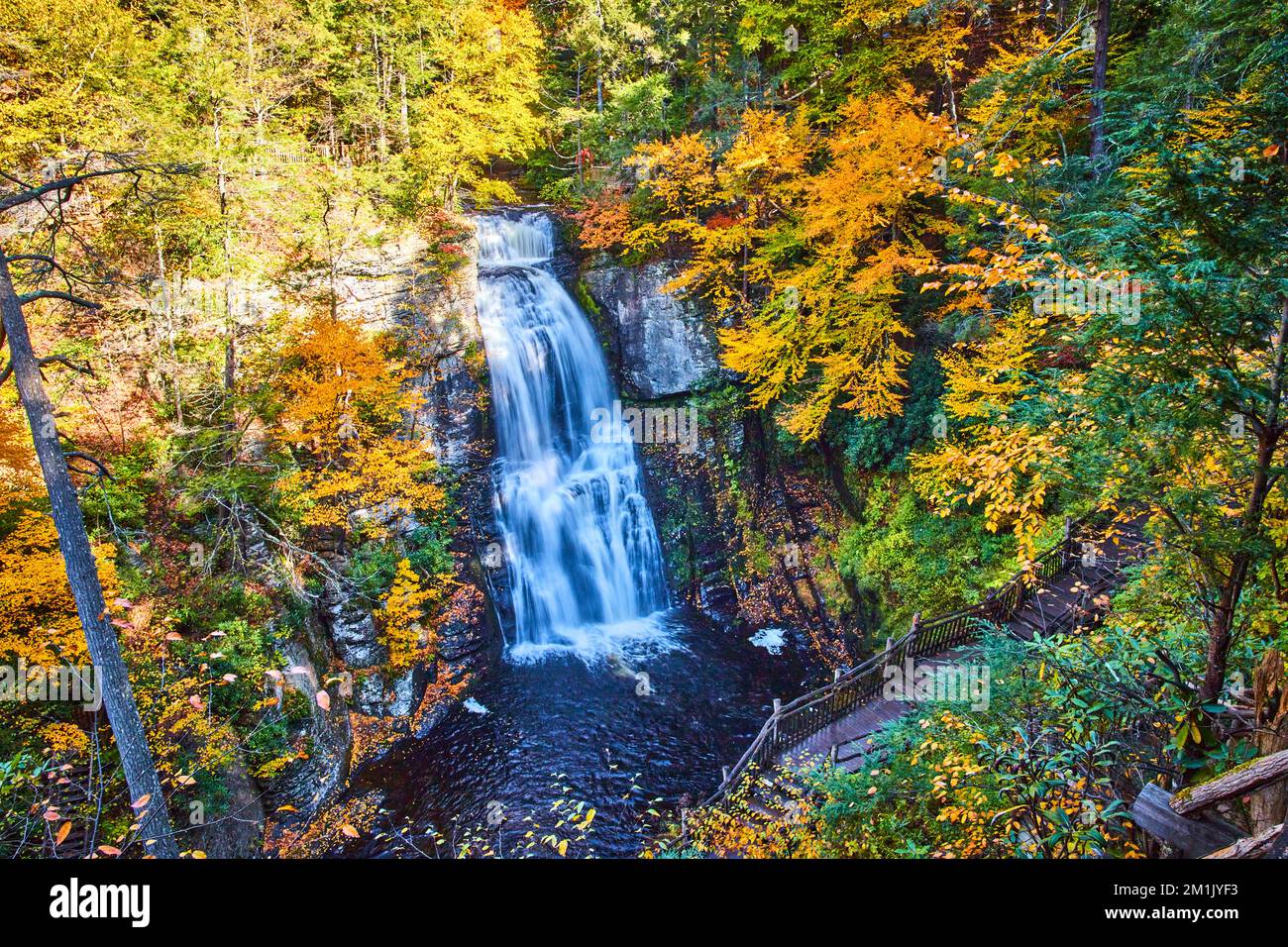 Stunning waterfall tucked into peak fall forest with boardwalk trails ...