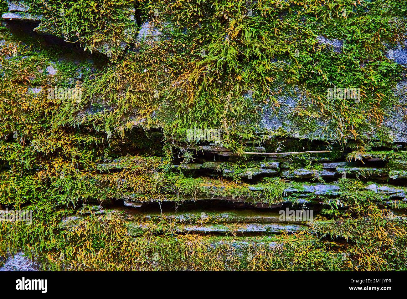 Mossy stone wall hi-res stock photography and images - Alamy