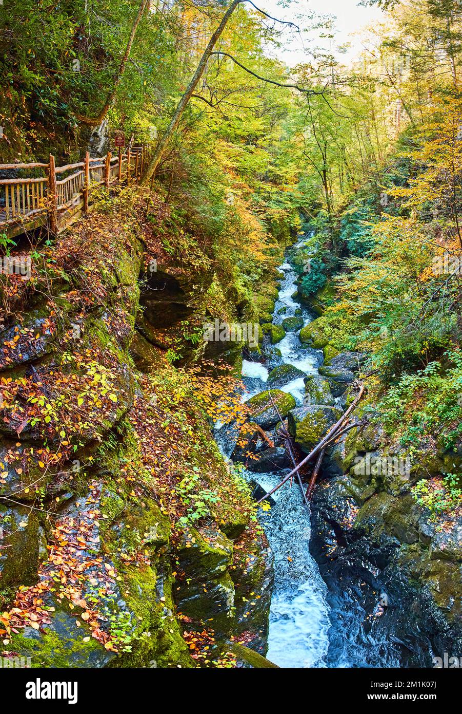Large valley with boardwalk along leaf-covered cliffs and river filled ...