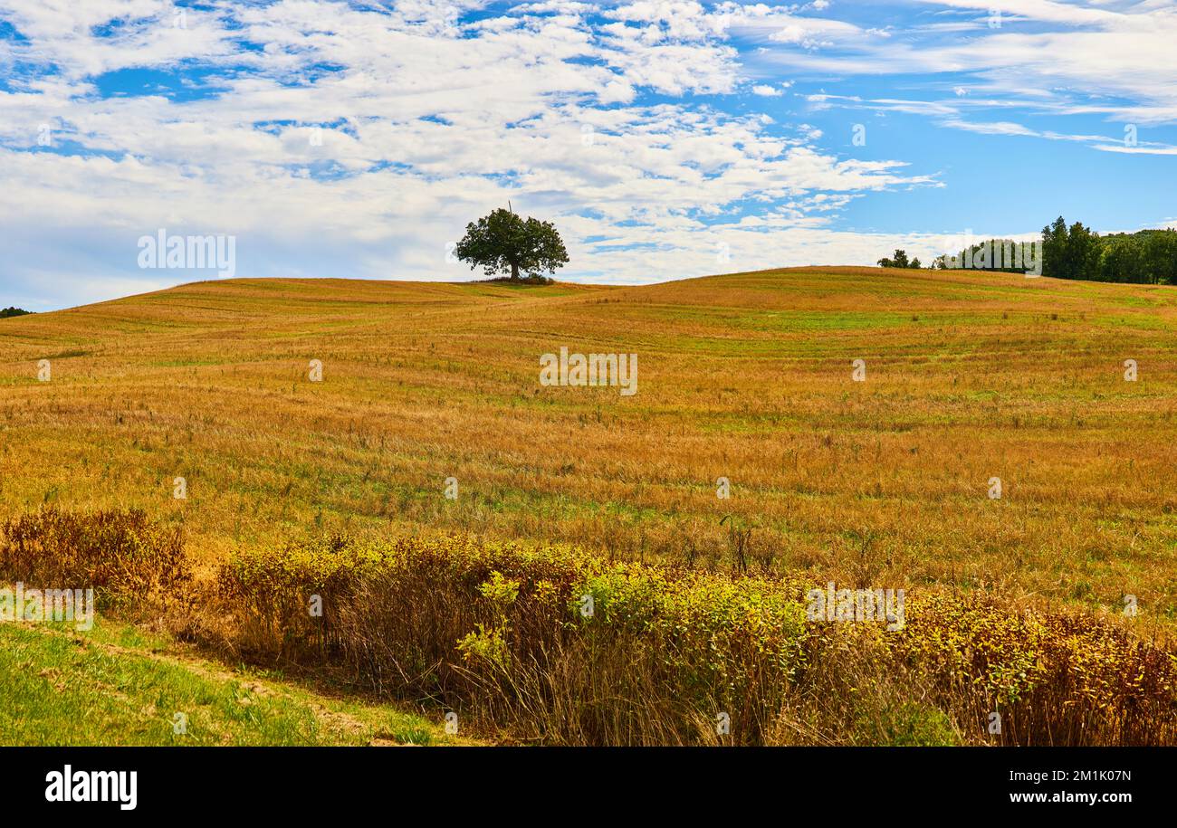 Beautiful fields of pasture land hi-res stock photography and images ...