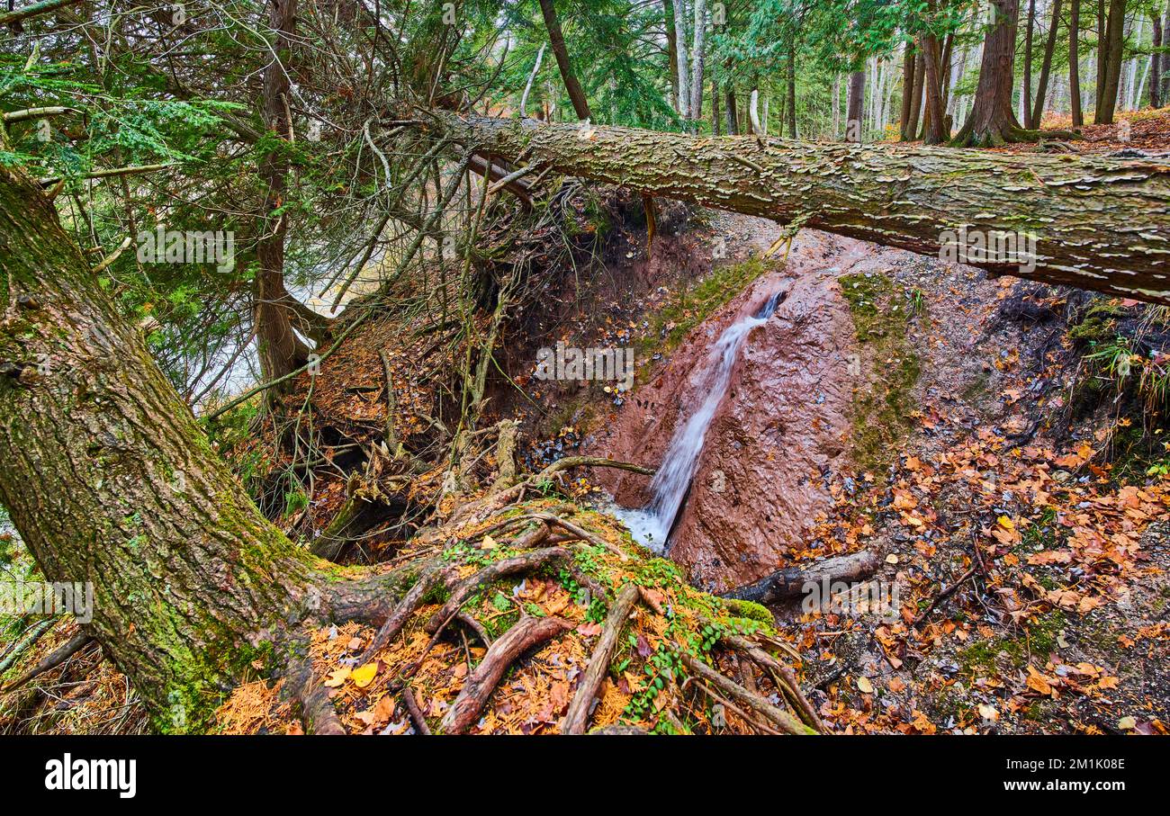 Waterfall coming out of clay surrounded by fall foliage and tree logs ...