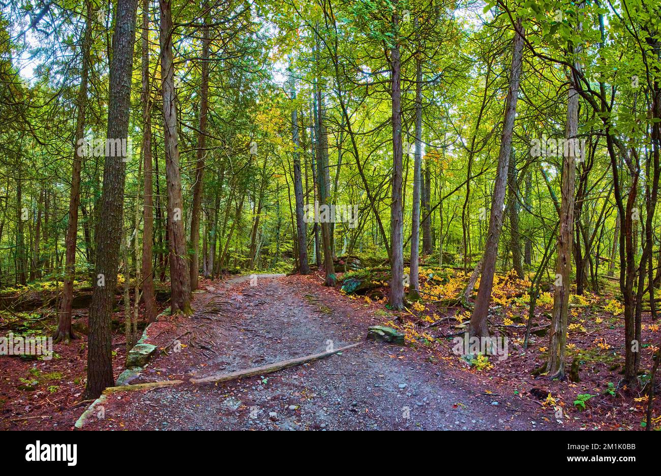 Panoramic view on wide dirt walking path in Vermont going through lush ...