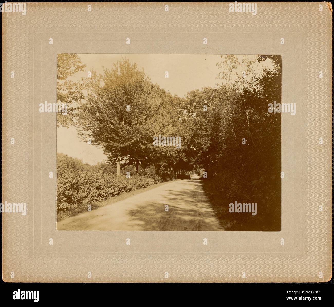 Ames Street, Sharon, Mass. , Streets. Sharon Public Library Photo ...