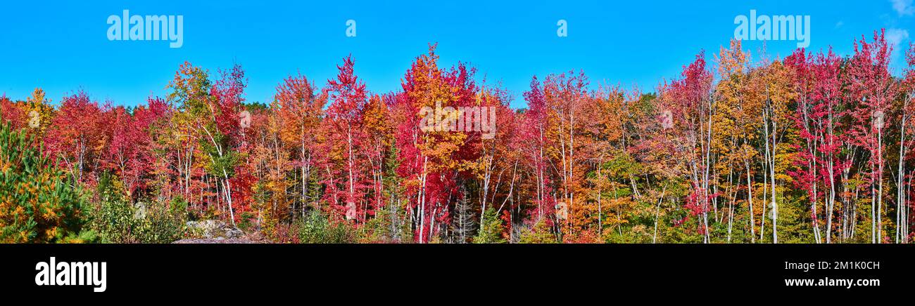 Fall color and architecture hi-res stock photography and images - Alamy