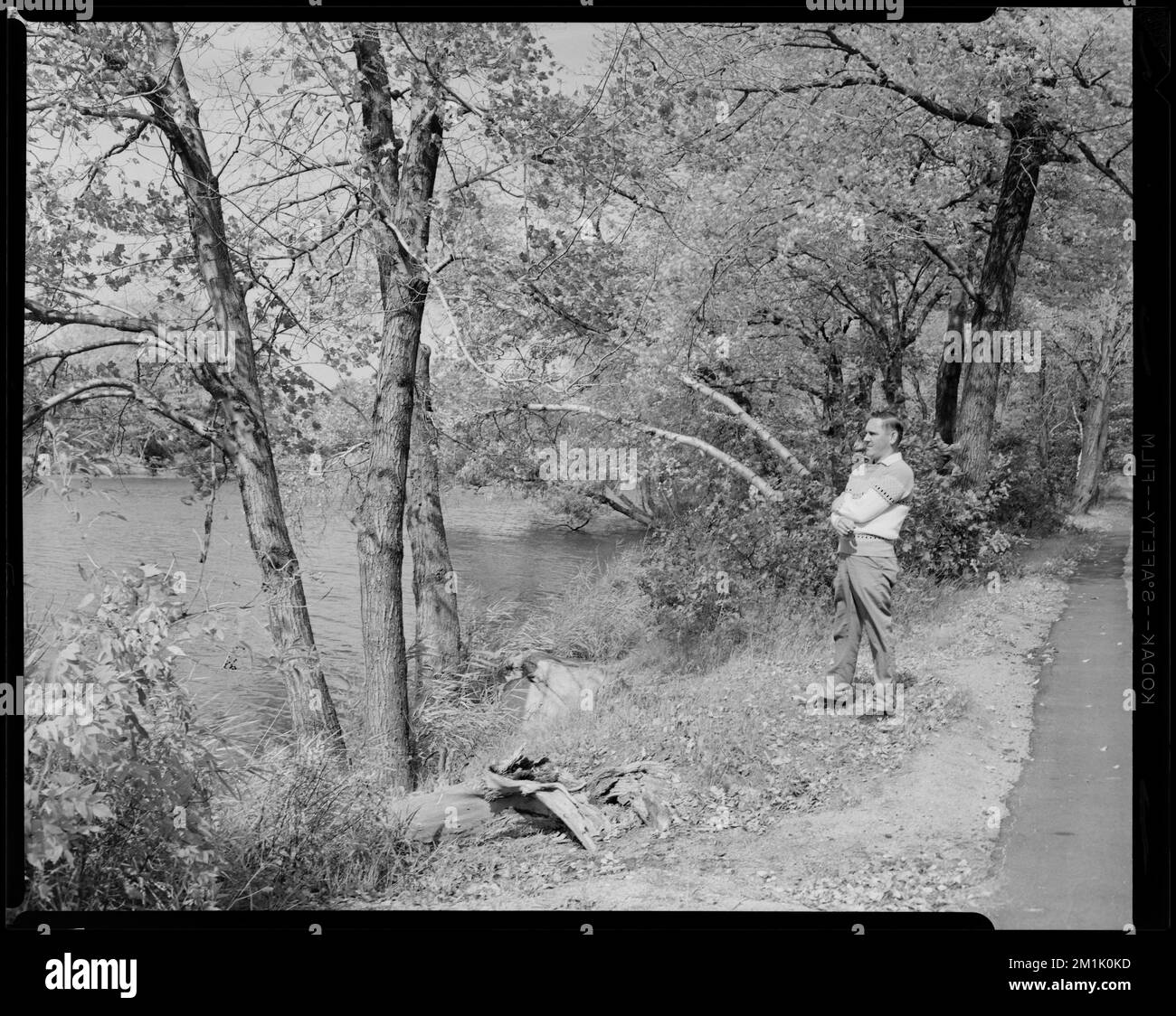 Amos family. Jim , Trees, Lakes & ponds. Leon Abdalian Collection Stock ...