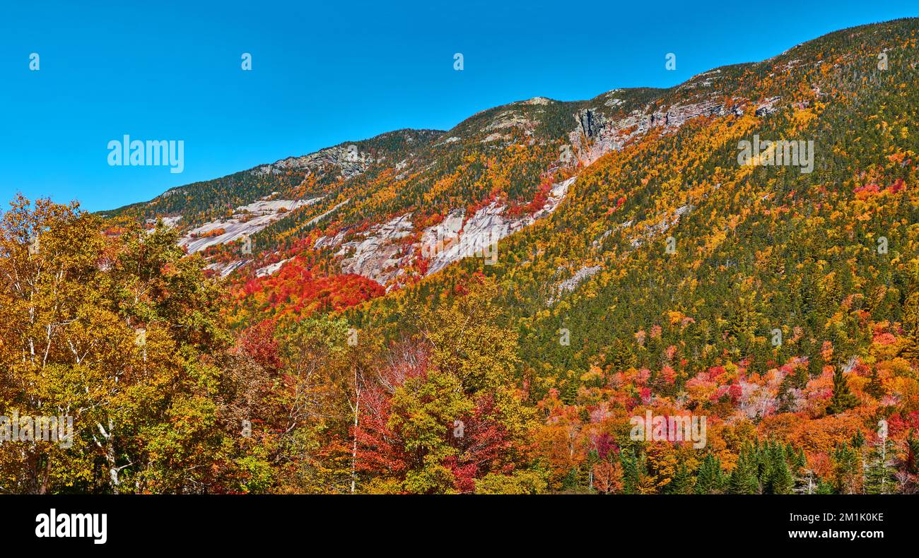 Detail of large colorful peak fall foliage mountain with rocky patches ...