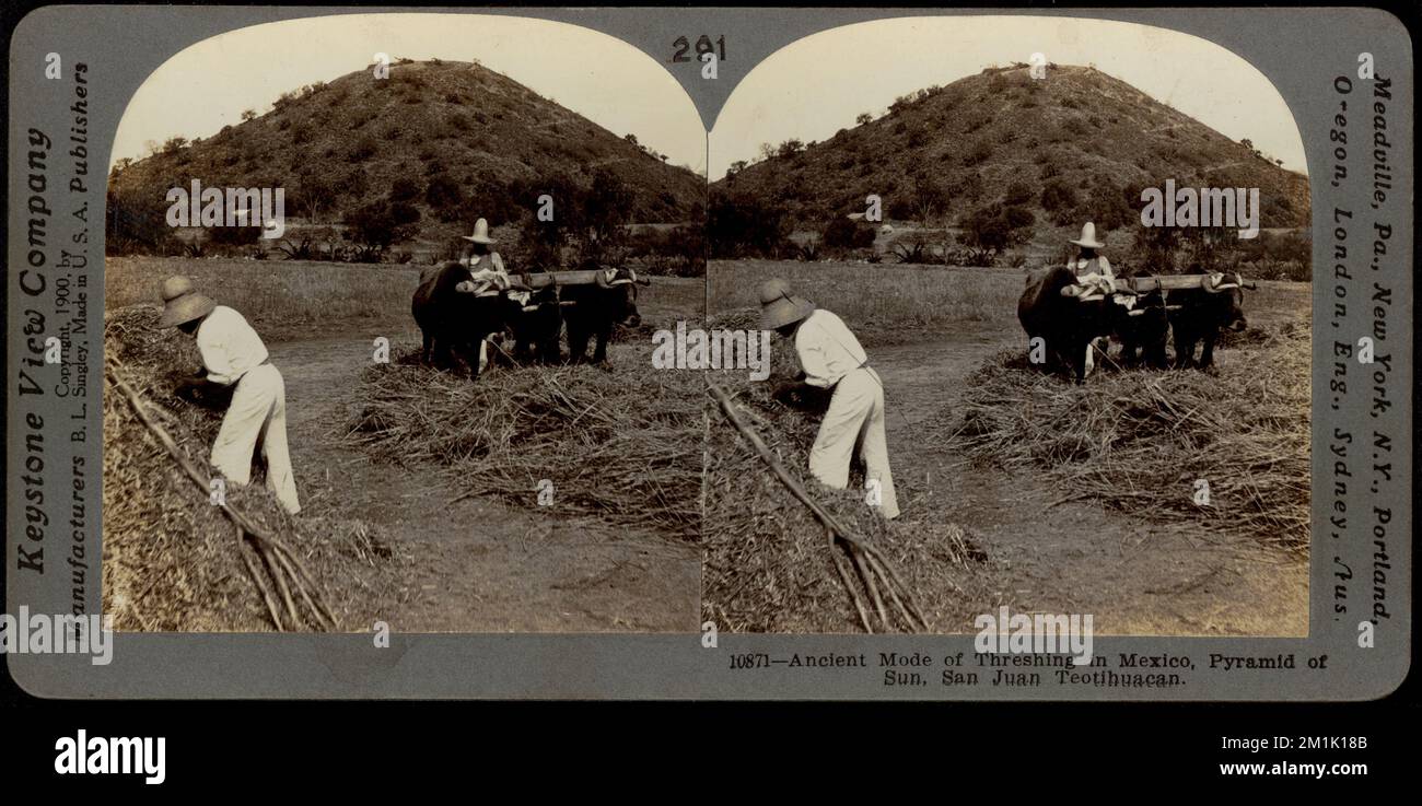 Ancient mode of threshing in Mexico, Pyramid of Sun, San Juan ...