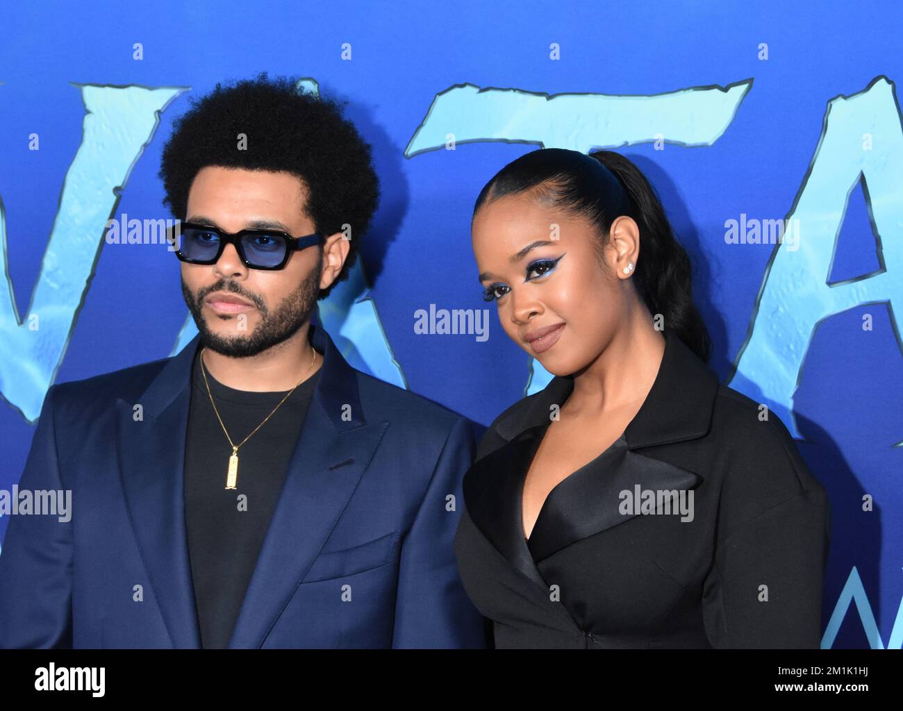 Hollywood, California, USA 12th December 2022 Singer/musician The ...