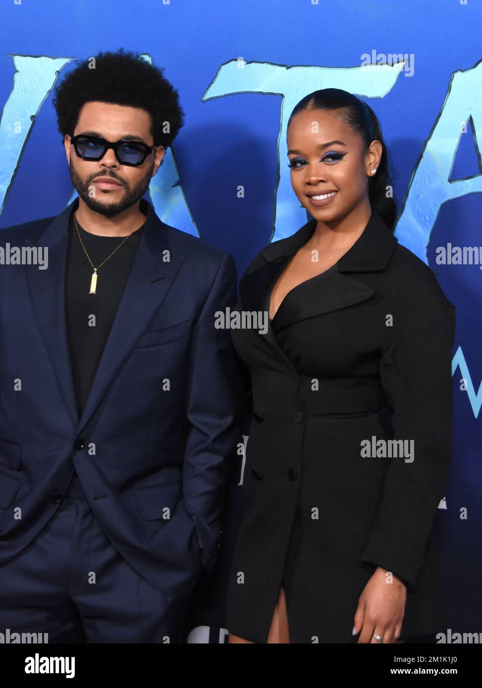 Hollywood, California, USA 12th December 2022 Singer/musician The ...