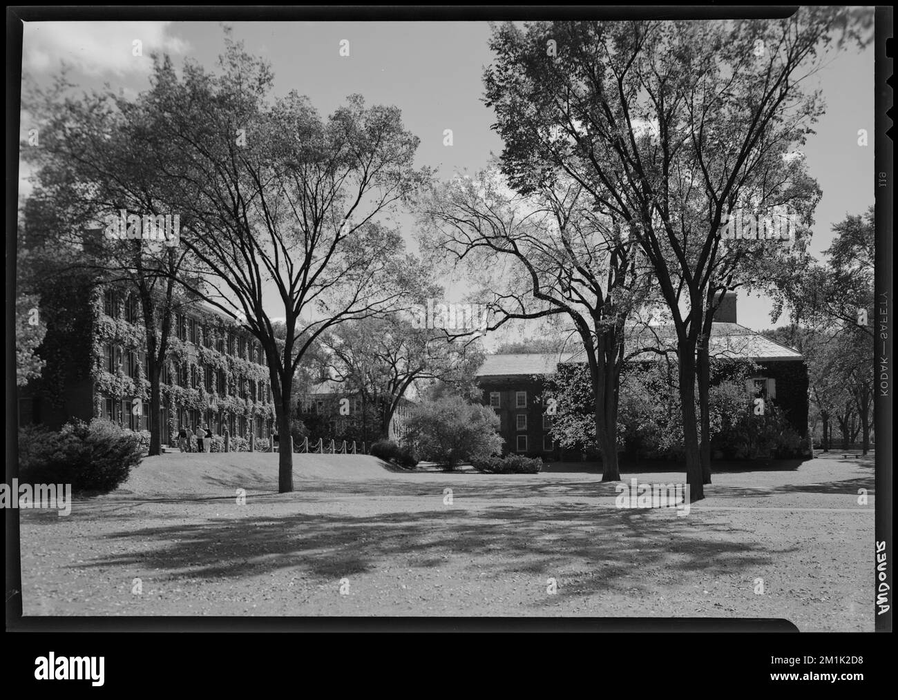 Andover, summer , Architecture, Schools, Trees, Phillips Academy ...