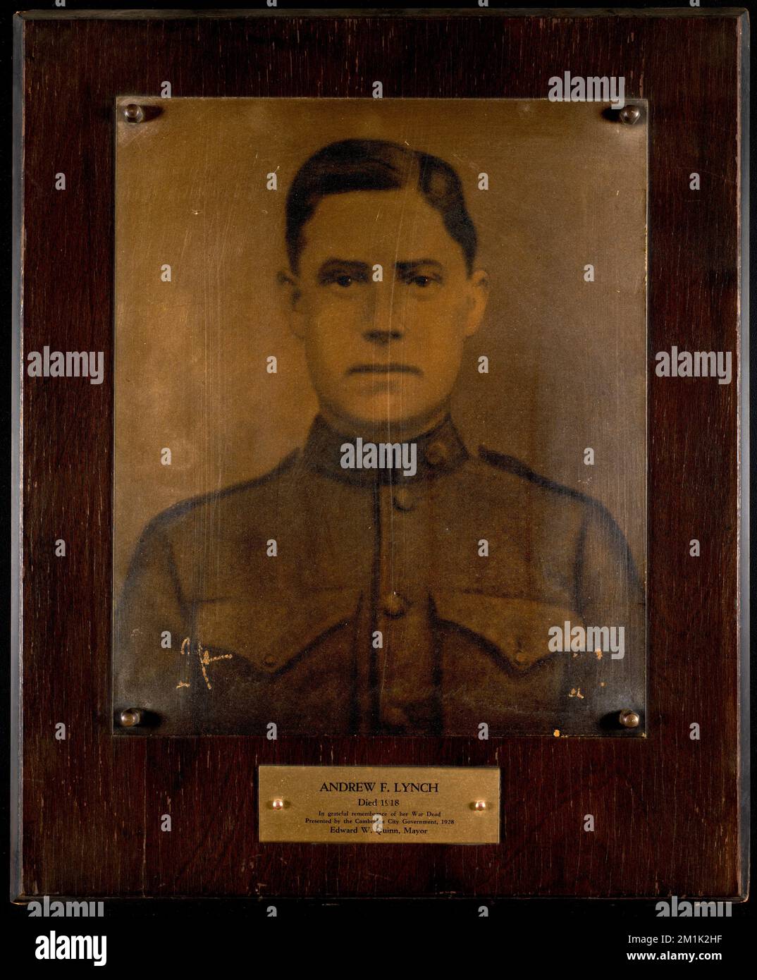 Andrew lynch hi-res stock photography and images - Alamy