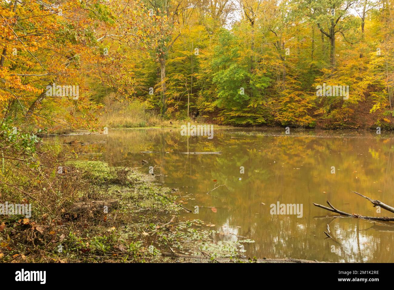 The beautiful Lake Roland Park in Baltimore, Maryland on a cold autumn ...