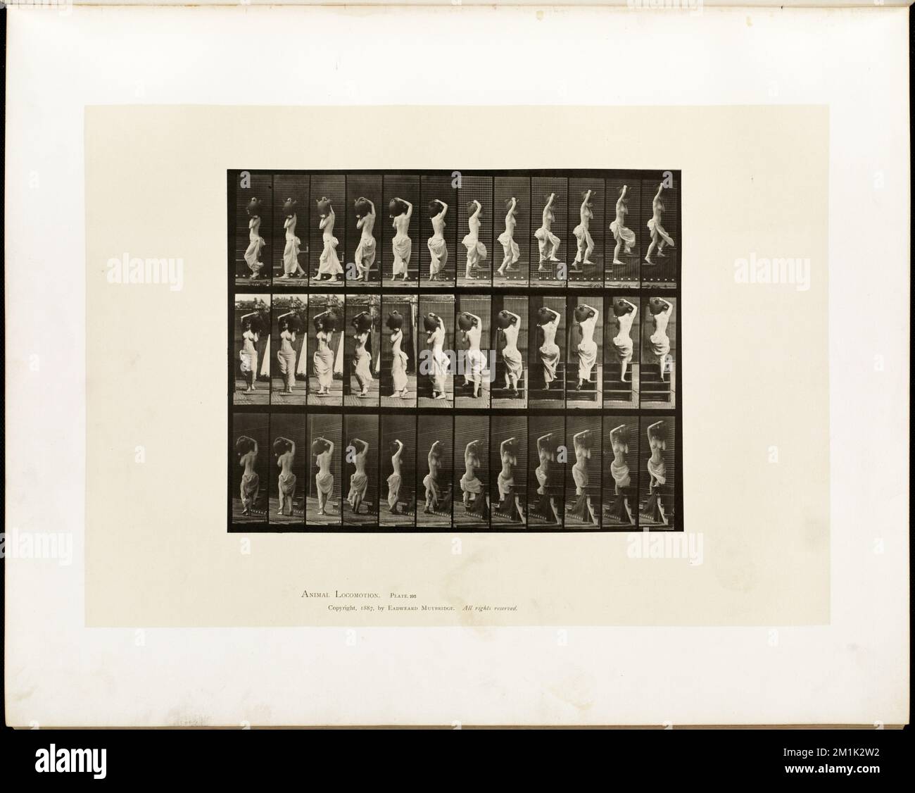 Animal locomotion. Plate 105 , Women, Walking, Lifting & carrying ...