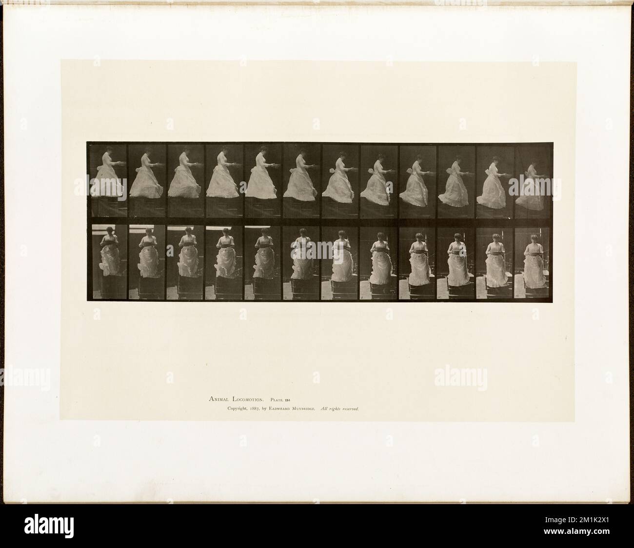 Animal locomotion. Plate 134 , Women, Lifting & carrying, Stairways ...