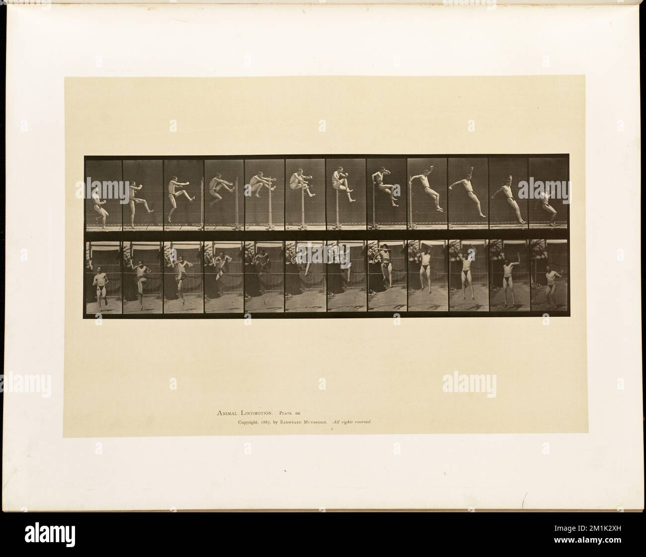 Animal locomotion. Plate 152 , Men, Jumping, Human locomotion, an ...