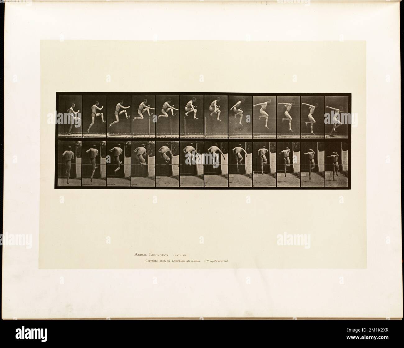 Animal locomotion. Plate 153 , Men, Jumping, Human locomotion, an ...