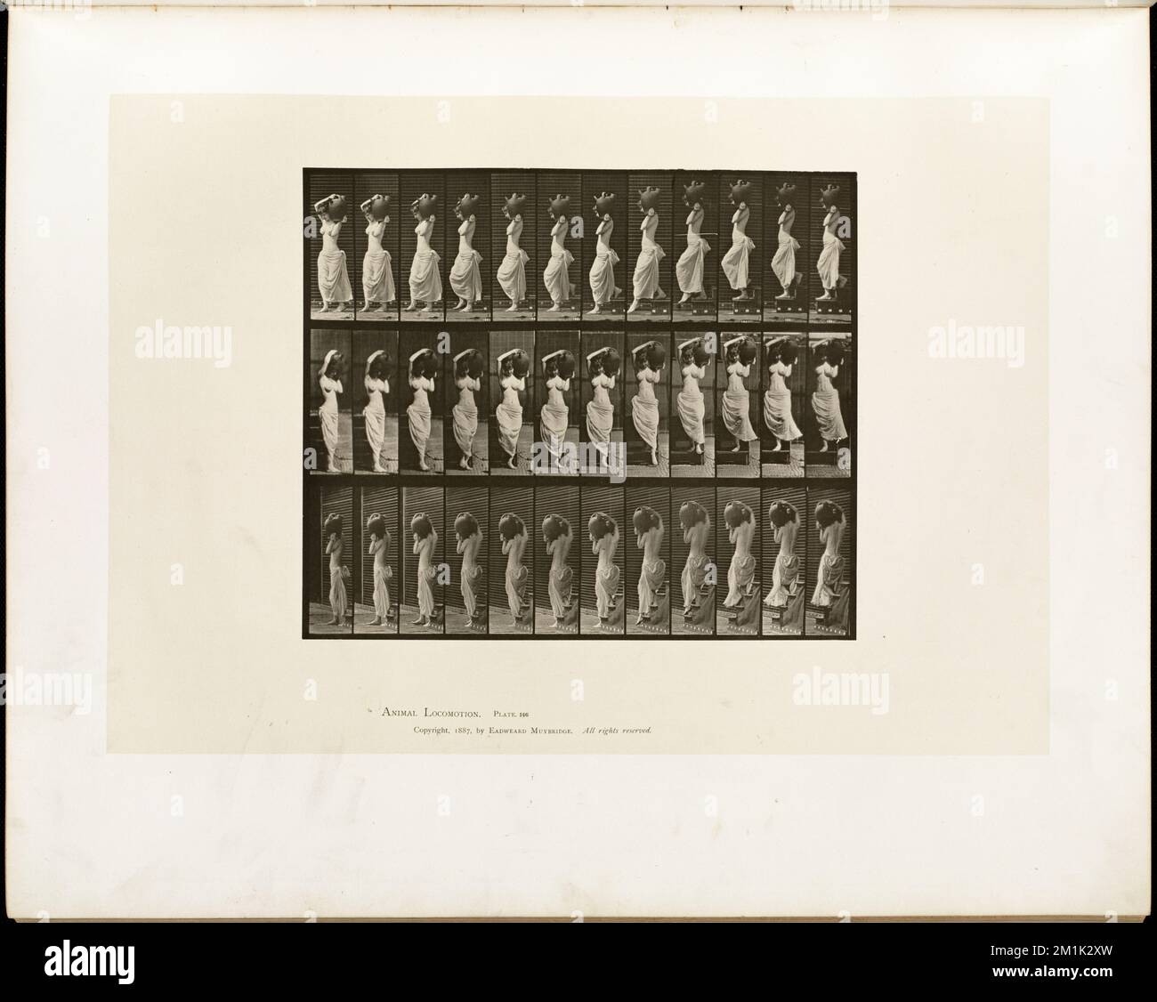 Animal locomotion. Plate 146 , Women, Lifting & carrying, Stairways ...