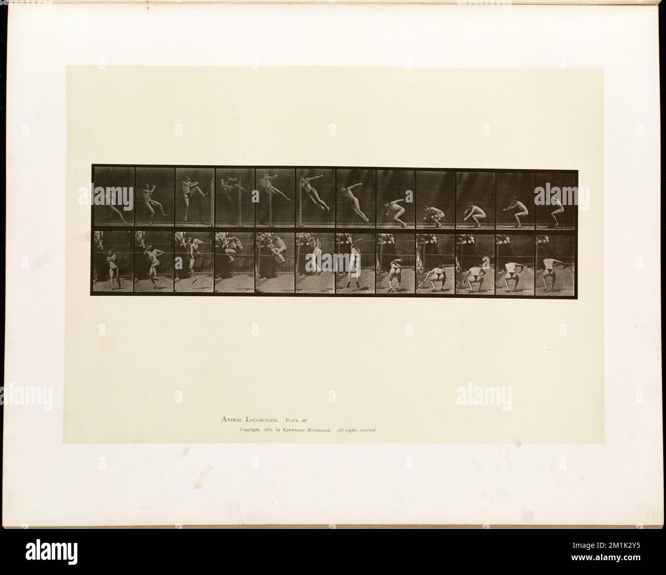 Animal locomotion. Plate 157 , Men, Jumping, Human locomotion, an ...