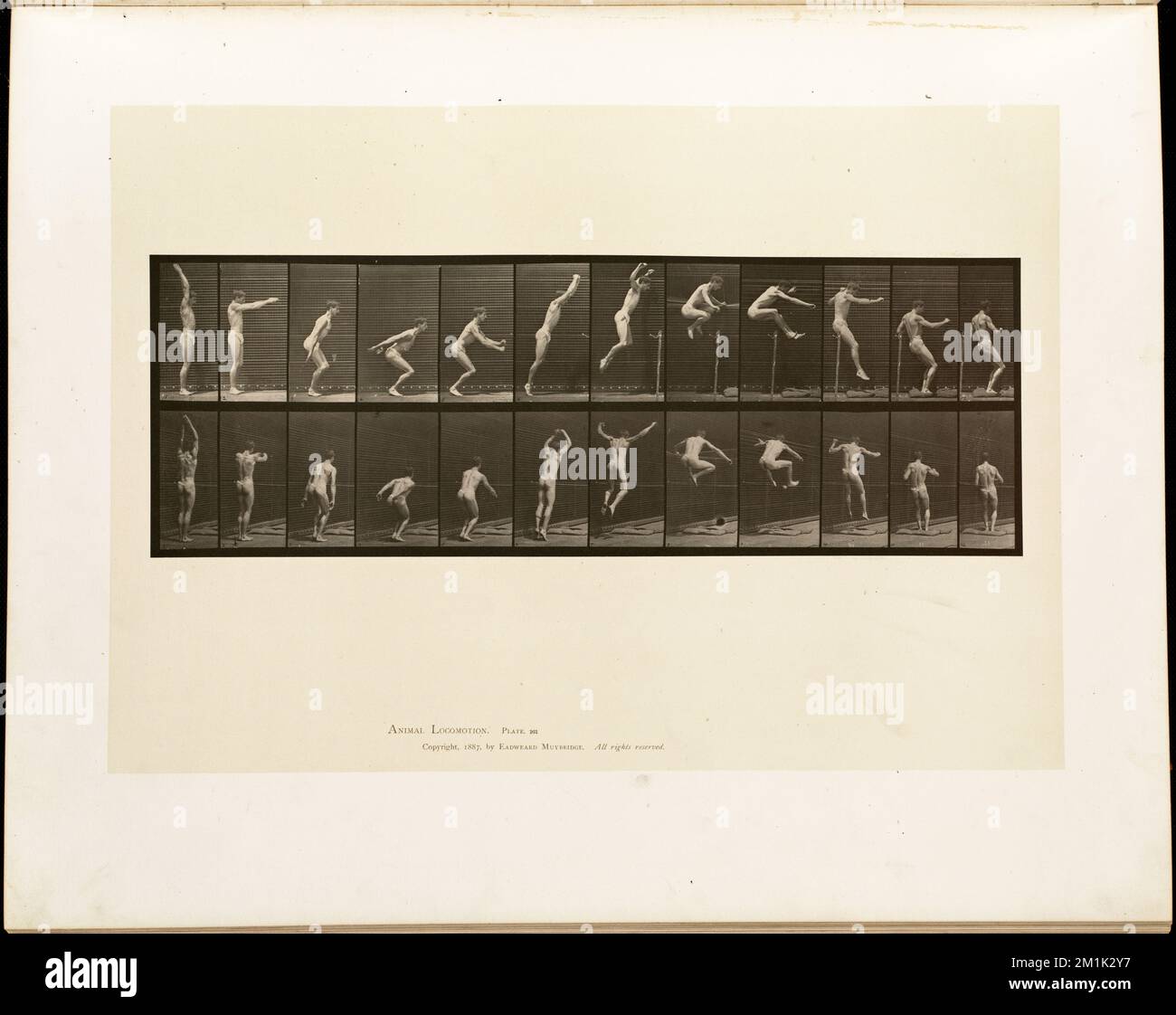 Animal locomotion. Plate 161 , Men, Jumping, Human locomotion, an ...