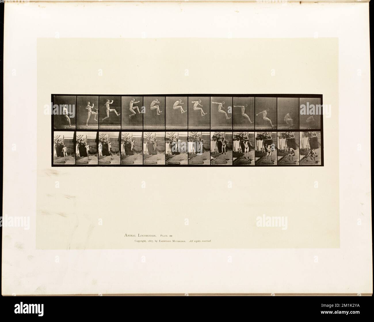 Animal locomotion. Plate 159 , Men, Jumping, Human locomotion, an ...