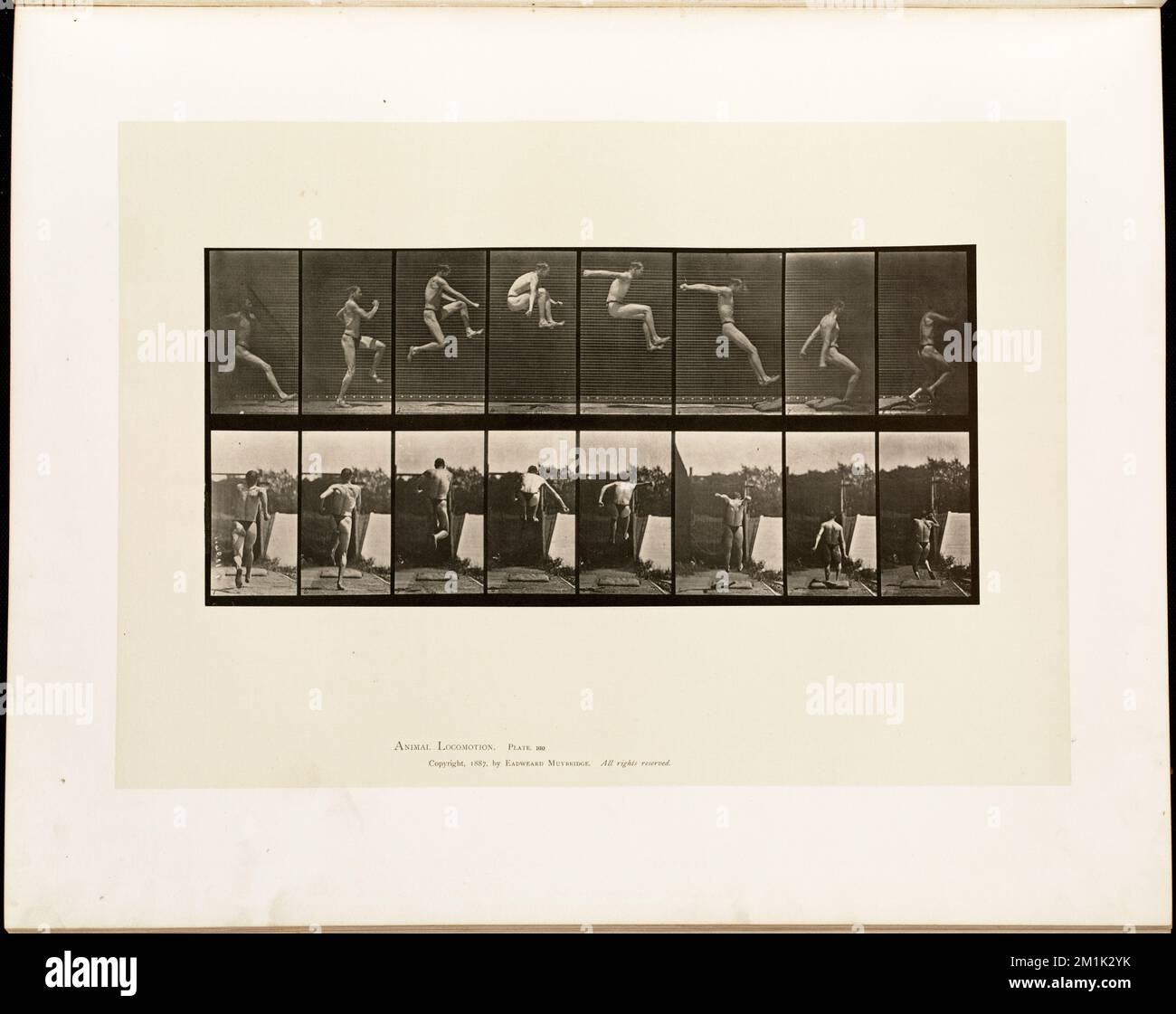 Animal locomotion. Plate 160 , Men, Jumping, Human locomotion, an ...
