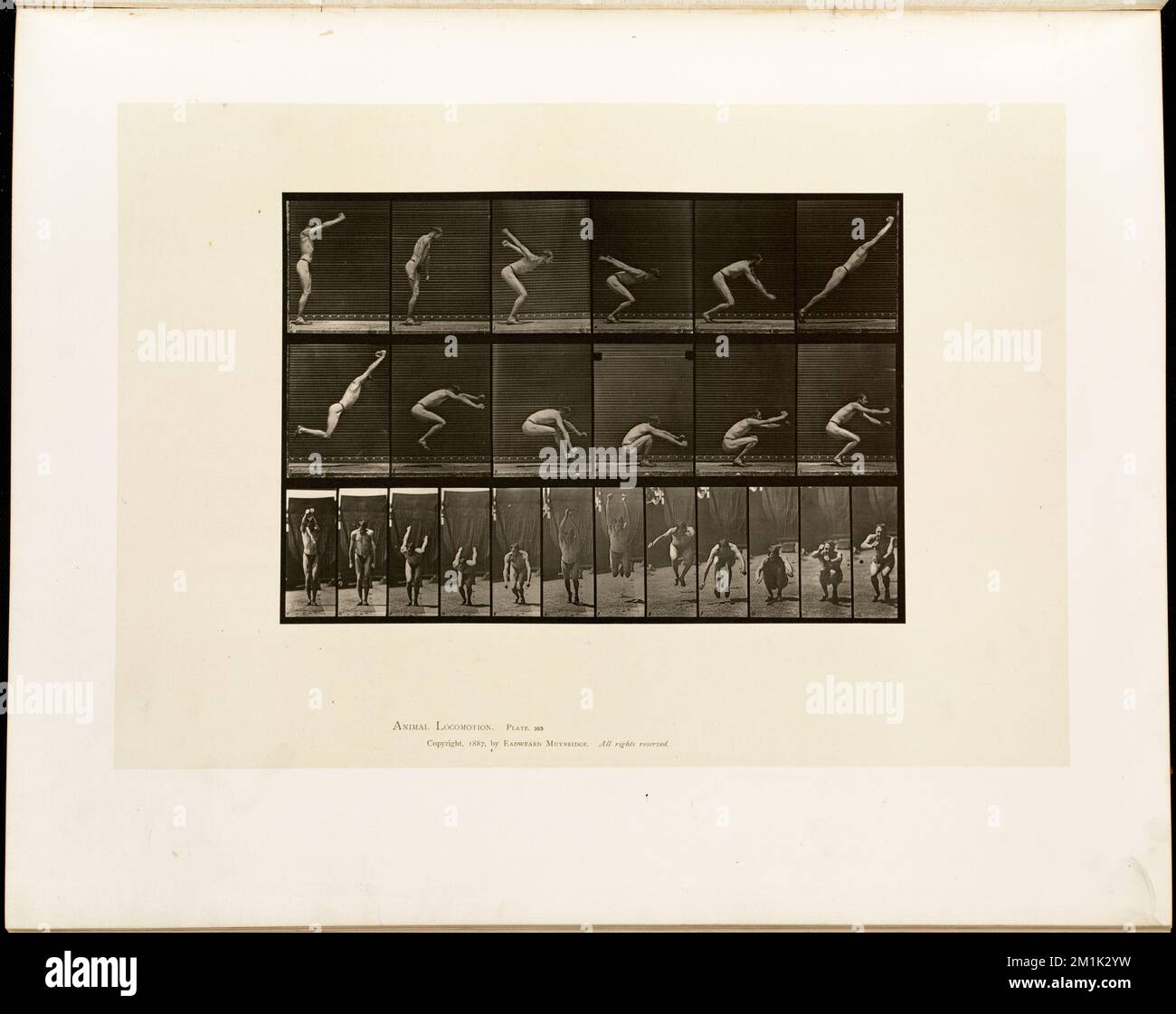 Animal locomotion. Plate 163 , Men, Jumping, Human locomotion, an ...