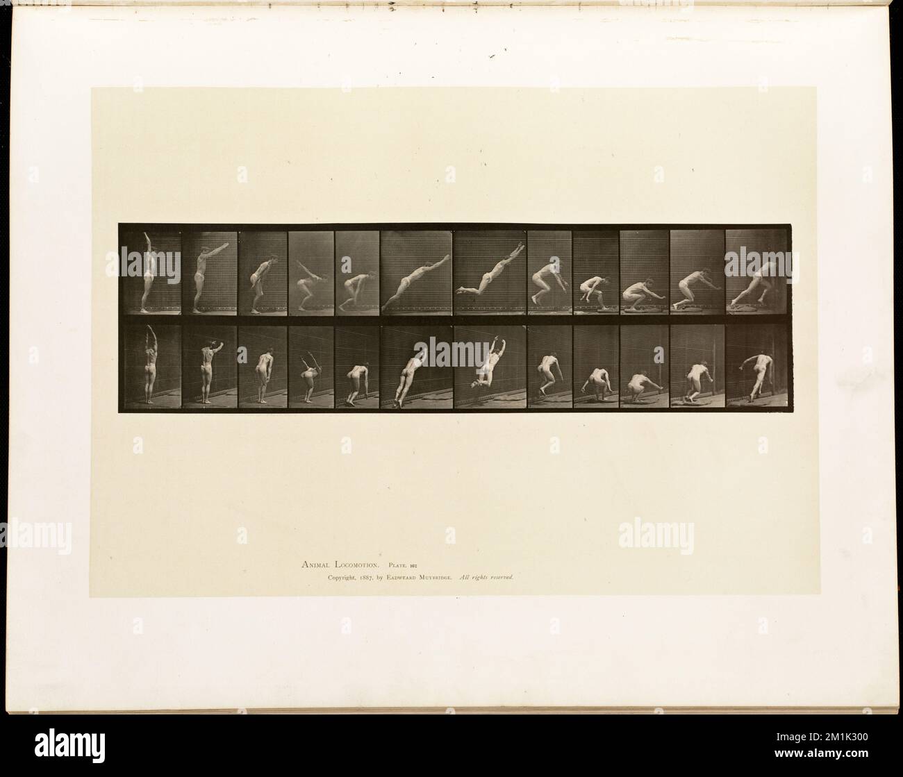 Animal locomotion. Plate 162 , Men, Jumping, Human locomotion, an ...