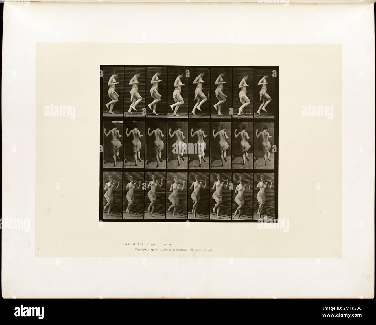 Animal locomotion. Plate 185 , Women, Jumping, Human locomotion, an ...