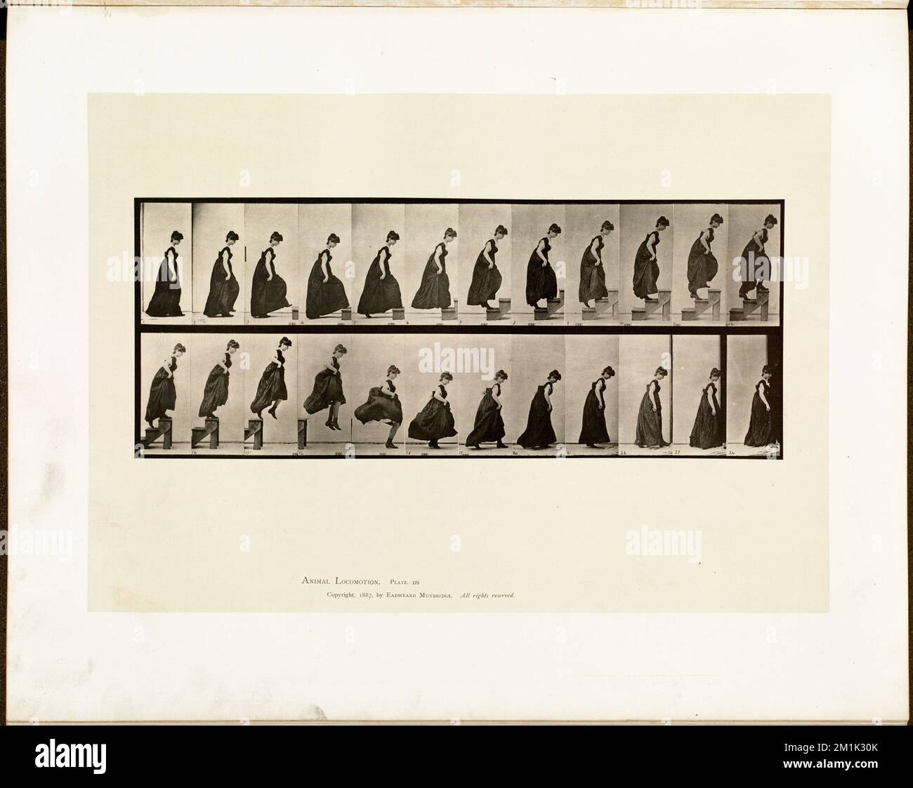 Animal locomotion. Plate 173 , Women, Jumping, Stairways, Human ...