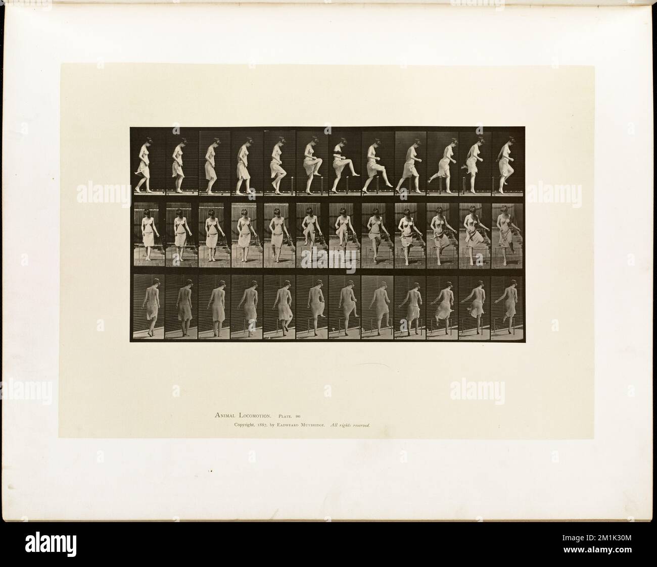 Animal locomotion. Plate 181 , Women, Walking, Human locomotion, an ...