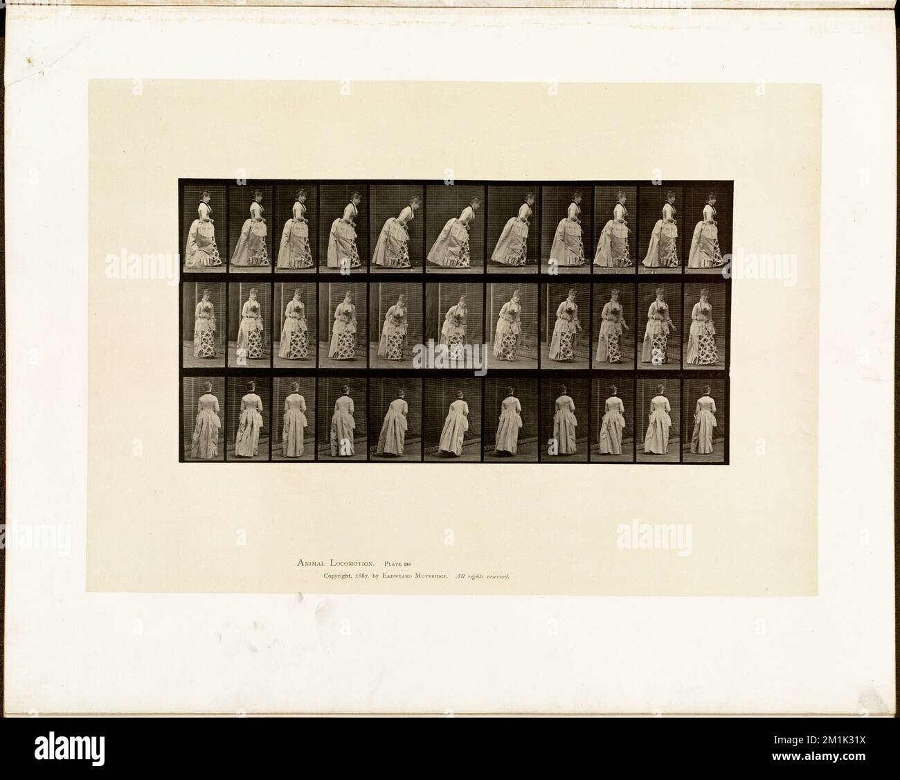 Animal locomotion. Plate 198 , Women, Walking, Human locomotion, an ...