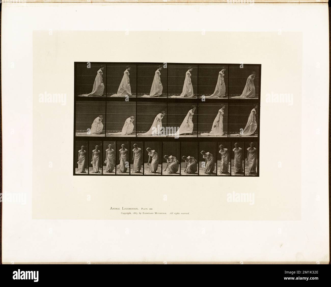 Animal locomotion. Plate 209 , Women, Walking, Human locomotion, an ...