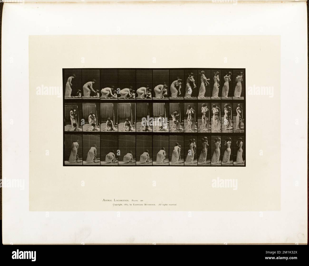 Victorian photographic plates hi-res stock photography and images - Alamy