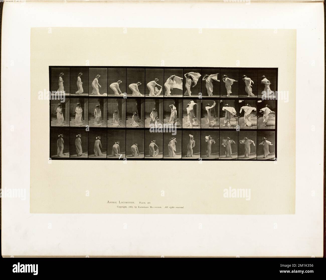 Animal locomotion. Plate 233 , Women, Walking, Human locomotion, an ...