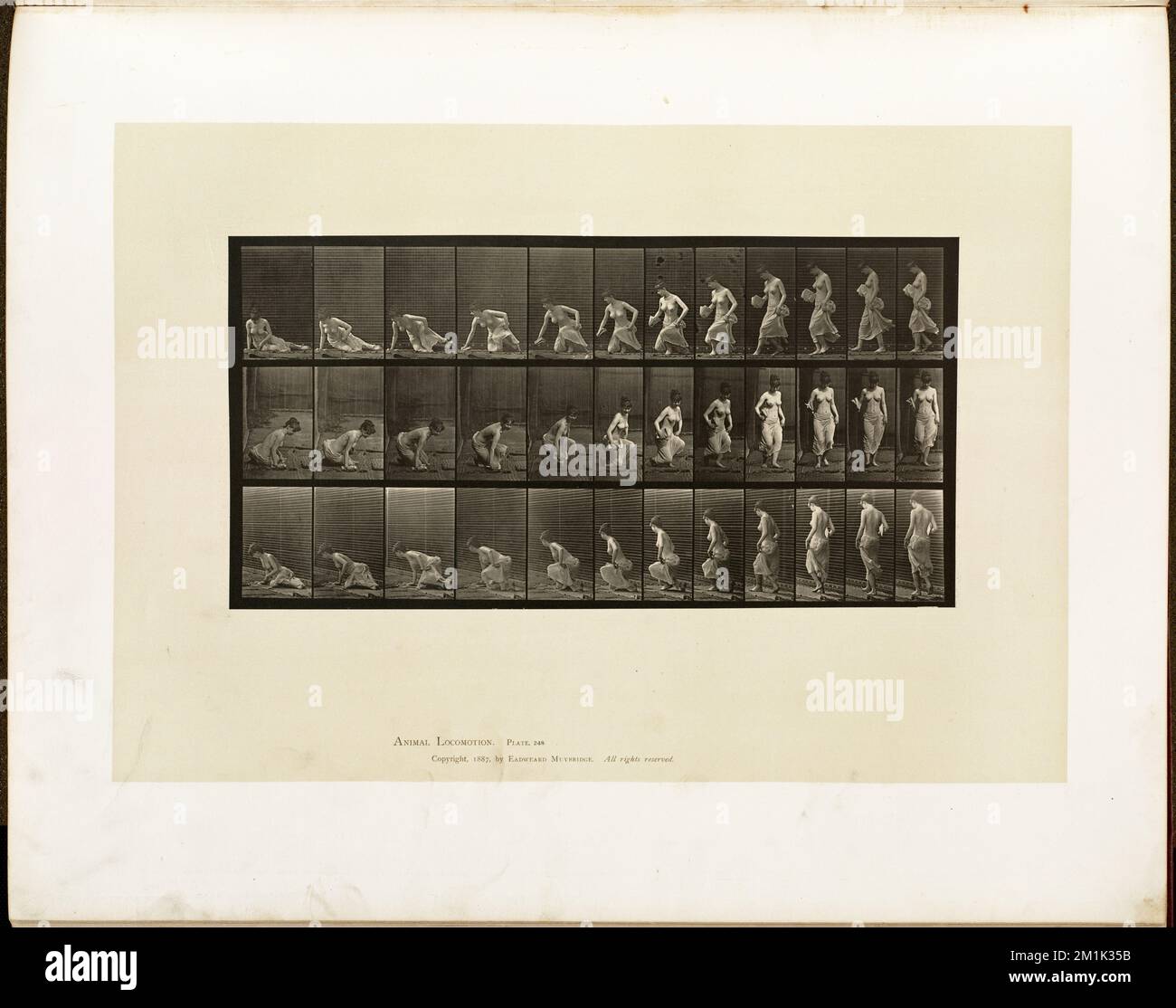 Animal locomotion. Plate 248 , Women, Sitting, Human locomotion, an ...