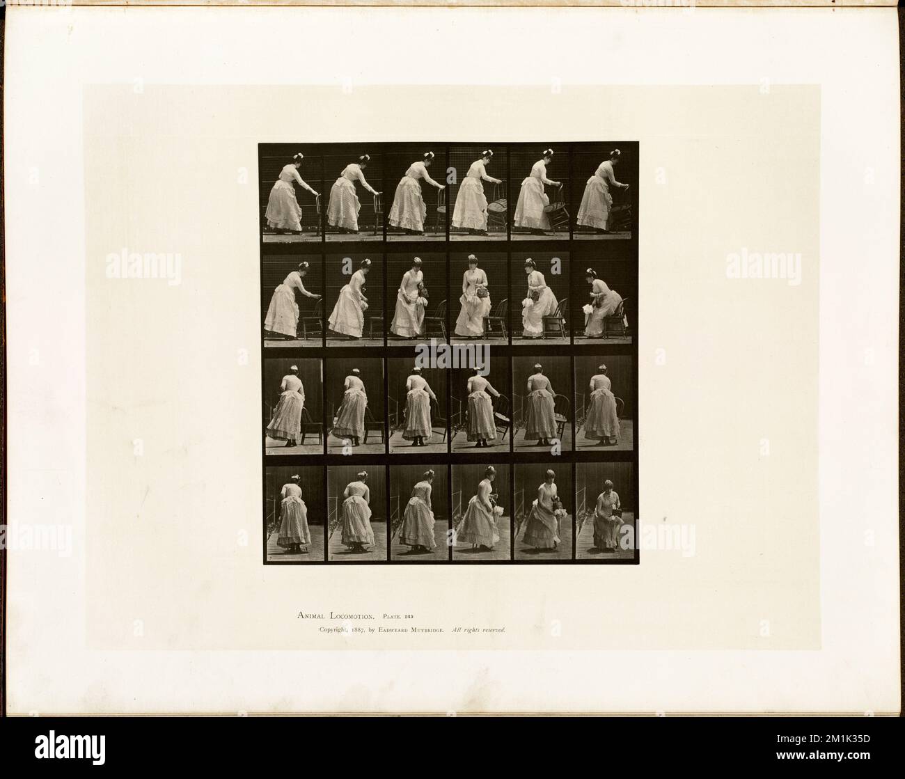 Animal locomotion. Plate 243 , Women, Sitting, Human locomotion, an ...