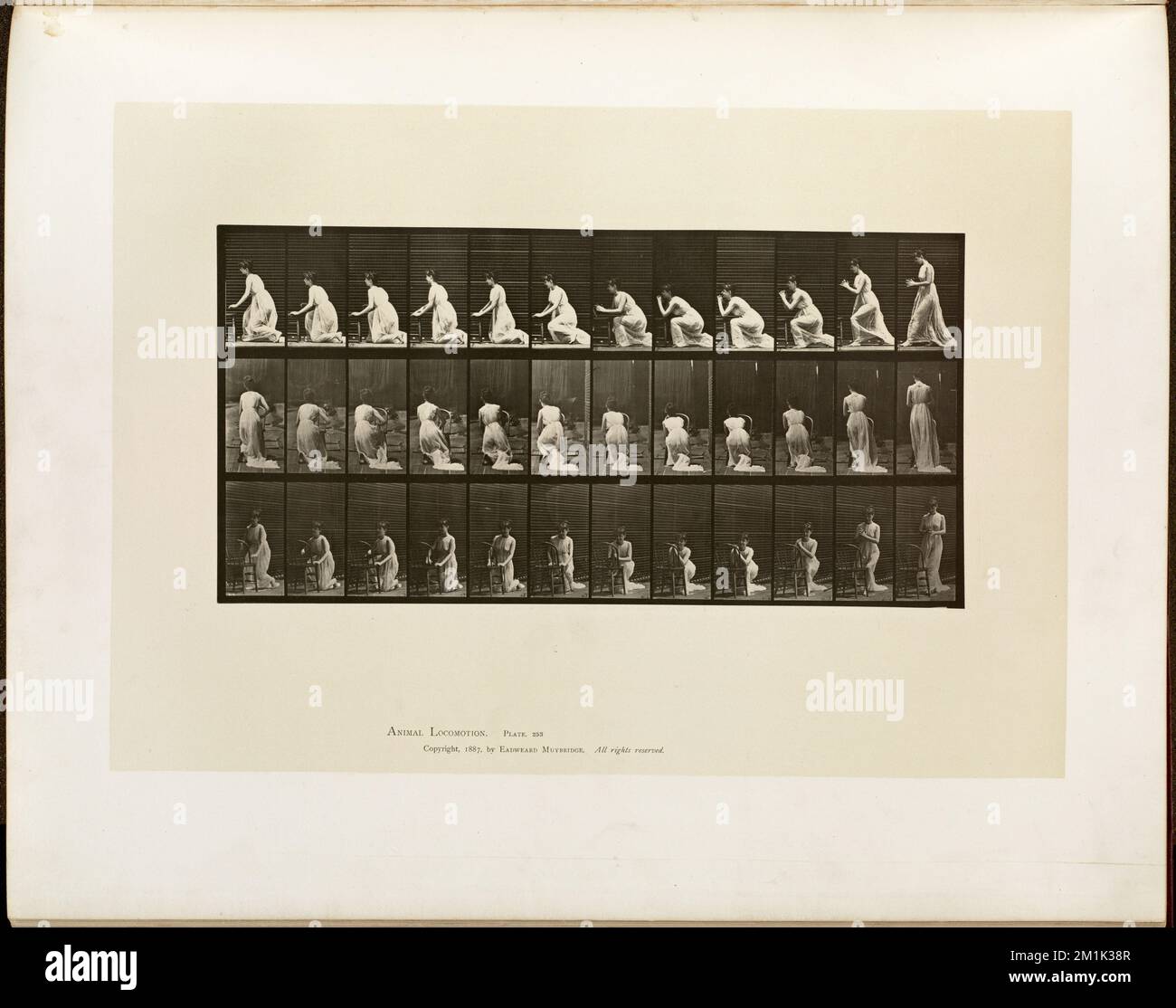Animal locomotion. Plate 253 , Women, Sitting, Human locomotion, an ...