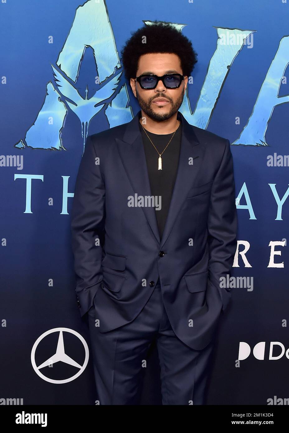 Los Angeles, CA on December 12, 2022. The Weeknd walking the red carpet ...