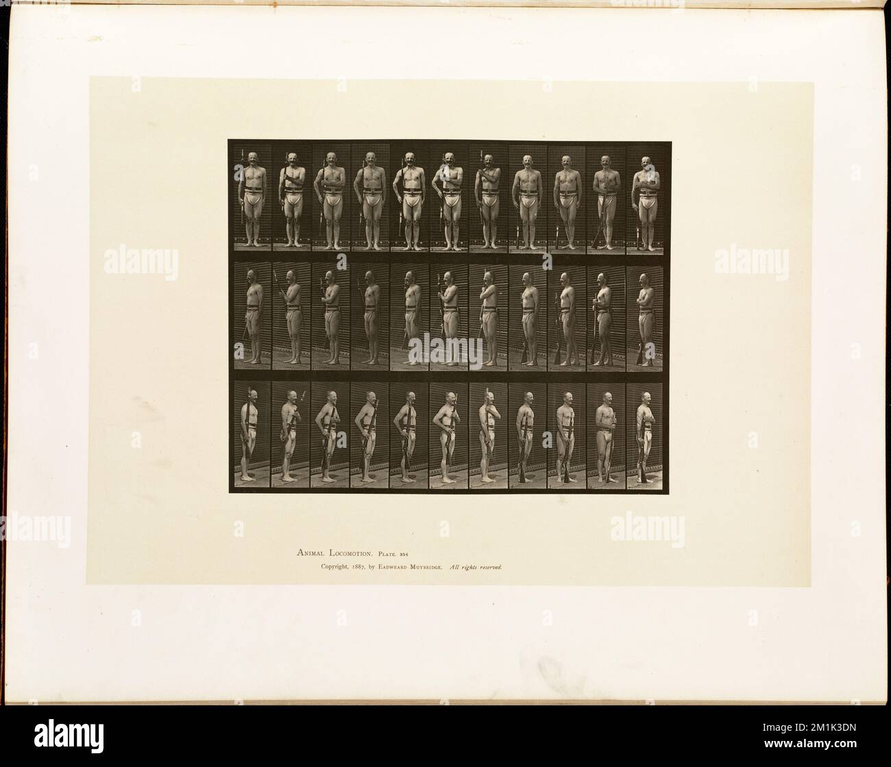 Animal locomotion. Plate 354 , Men, Military training, Human locomotion ...