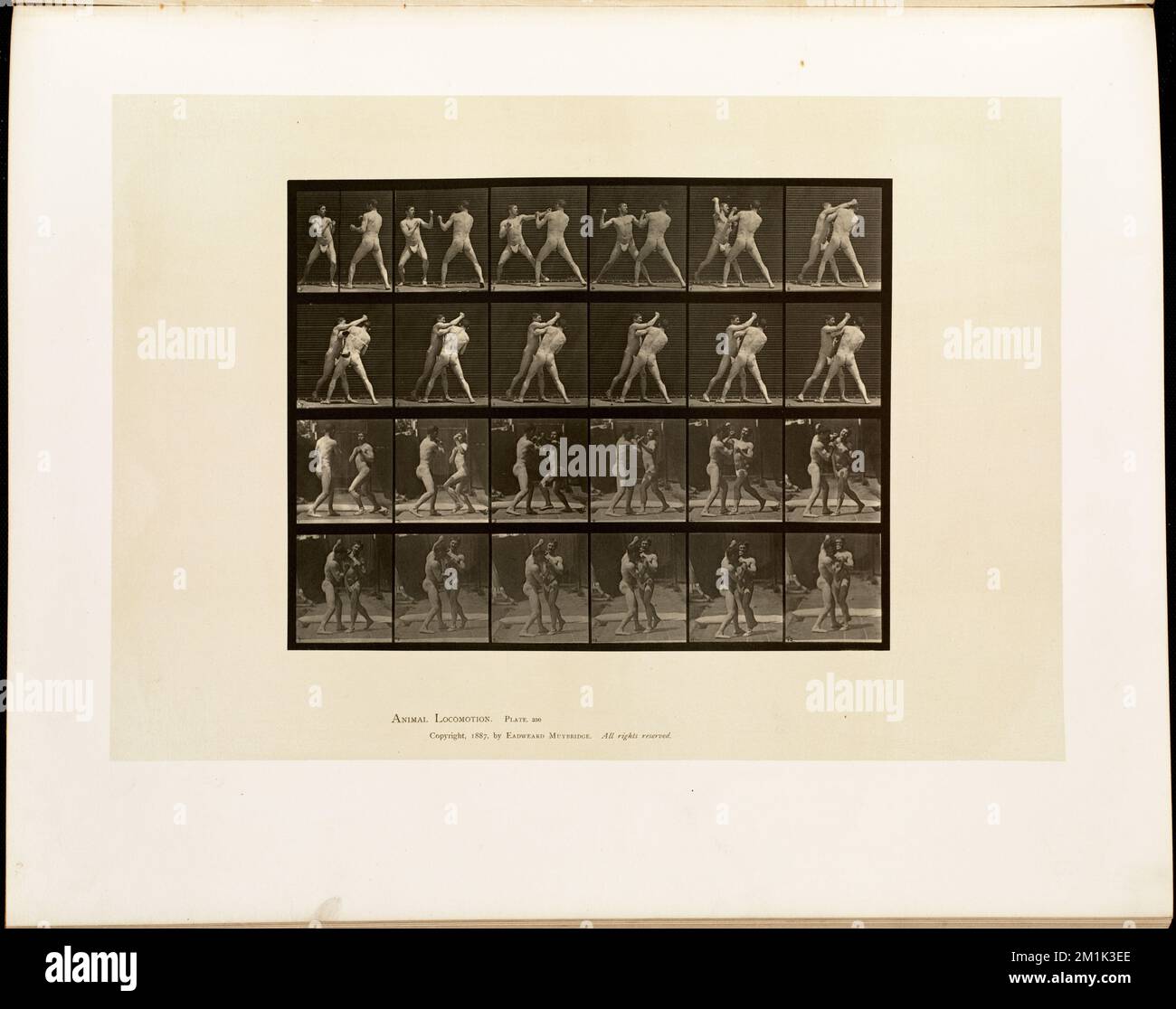 Animal locomotion. Plate 330 , Men, Boxing, Human locomotion, an ...
