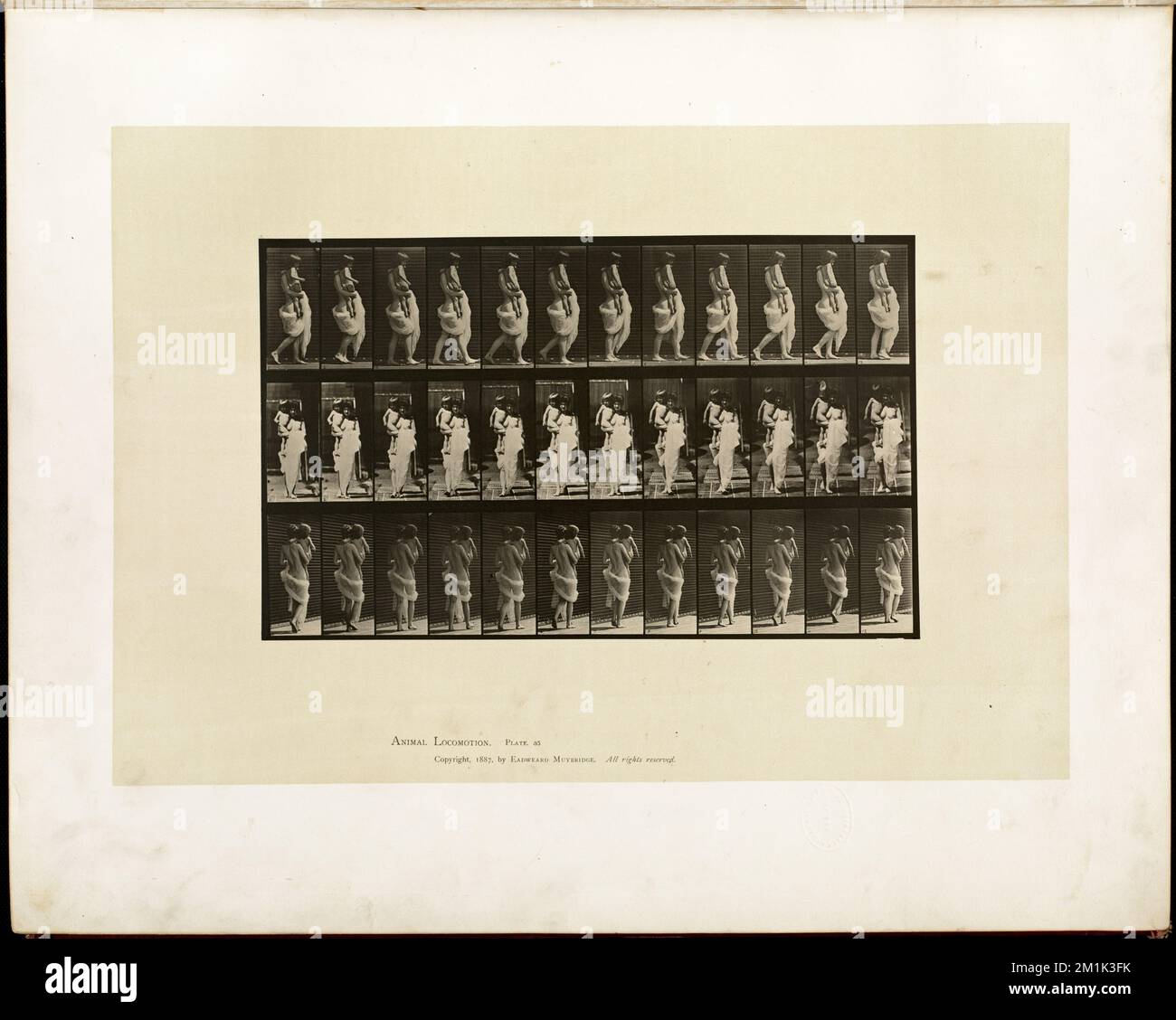 Animal locomotion. Plate 35 , Women, Girls, Walking, Lifting & carrying ...